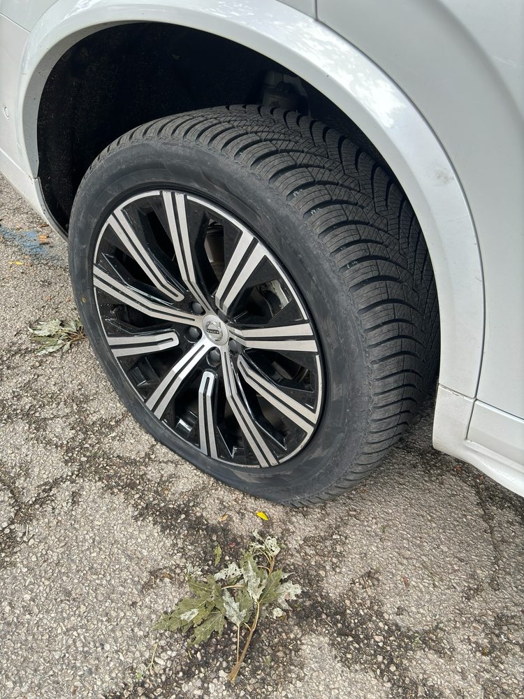 MILITO’S AUTO REPAIR - Updated July 2025 - 12 Photos & 63 Reviews ...