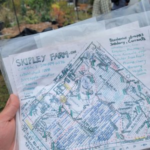 HEMSTROM VALLEY TREE FARM CHRISTMAS TREES - TEMP. CLOSED - Updated May ...