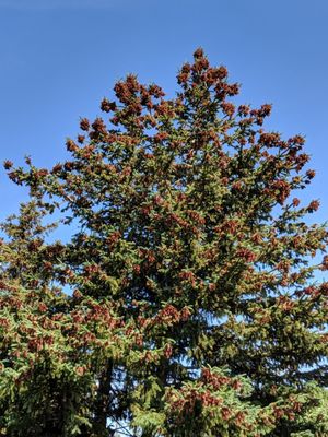 CANTON PUBLIC LIBRARY - Updated December 2025 - 111 Photos & 30 Reviews ...