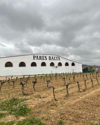 PARES BALTA - Updated April 2024 - 59 Photos - Calle Masia Can Balta, s ...