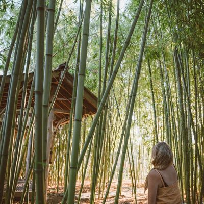 BOW SANCTUARY - Updated March 2025 - 12 Photos - 3533 Chuckanut Dr, Bow ...