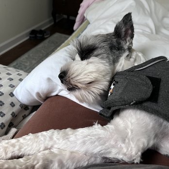 FINAL VICTORY ANIMAL RESCUE - Updated December 2025 - 10 Photos & 20 ...