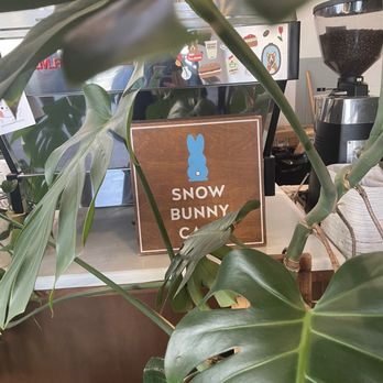 SNOW BUNNY COFFEE - Updated May 2025 - 246 Photos & 125 Reviews - 1415 ...