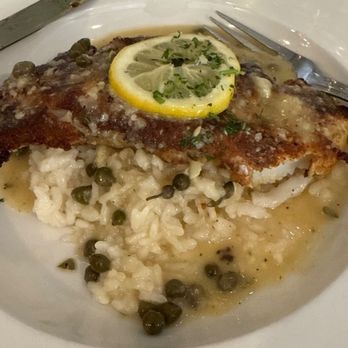 SCOPA - Updated October 2025 - 89 Photos & 59 Reviews - 829 Boston St ...