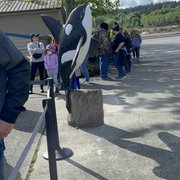 PUGET SOUND EXPRESS - 97 Photos & 41 Reviews - 459 Admiral Way, Edmonds ...