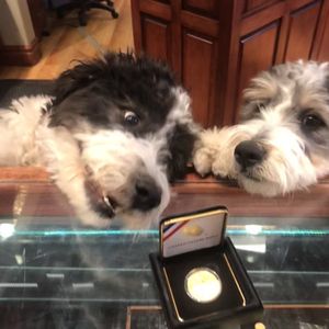 COINS PLUS - 15 Photos & 23 Reviews - 3201 N Division St, Spokane ...