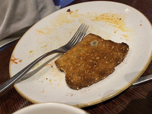 VELVET BUCK - Updated February 2025 - 38 Photos & 30 Reviews - 315 E ...