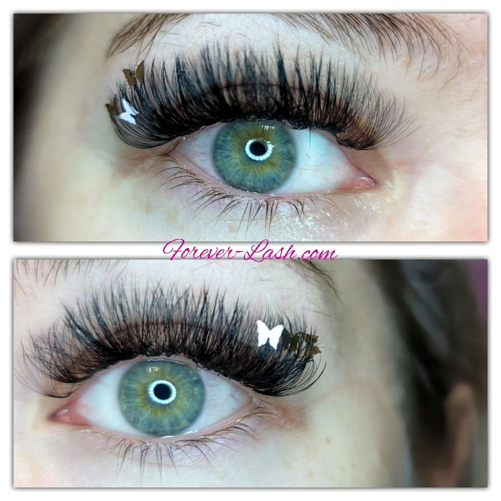FOREVER - LASH - Updated August 2024 - Request an Appointment - 208 ...
