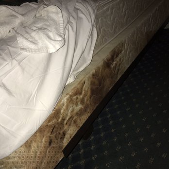 ALPINE MOTEL - Updated December 2025 - 485 Douglas Pike, Smithfield ...