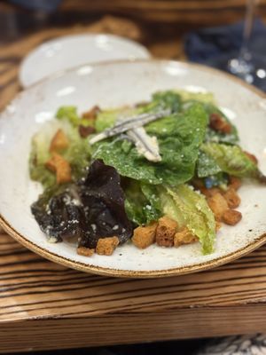 THE COPPER SHARK - Updated December 2025 - 563 Photos & 193 Reviews ...