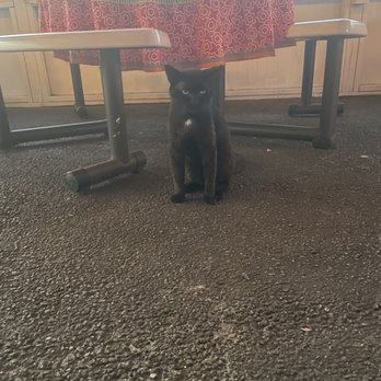 HWY 21 DRIVE IN THEATRE - Updated January 2026 - 99 Photos & 48 Reviews ...