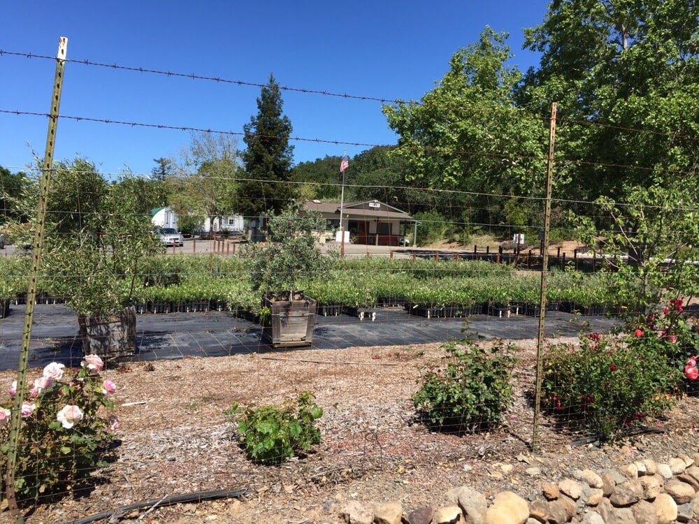 NOVAVINE GRAPEVINE NURSERY - Updated July 2025 - 6735 Sonoma Hwy, Santa ...