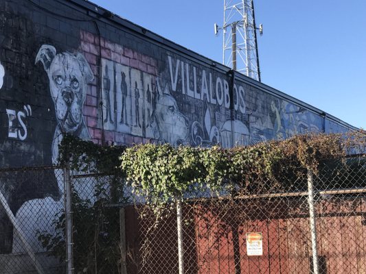 VILLALOBOS RESCUE CENTER - Updated September 2025 - 82 Photos & 80 ...