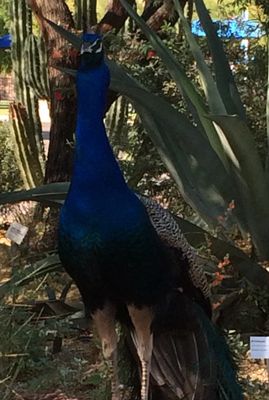 FOOTHILLS LIBRARY - Updated August 2025 - 27 Photos & 25 Reviews ...