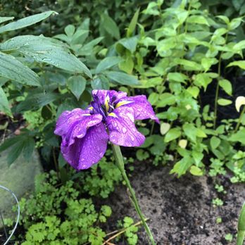 TOP 10 BEST Cactus Plants in Worcester, MA - Updated 2025 - Yelp