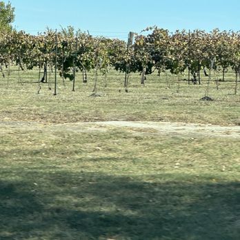 SOMERSET RIDGE VINEYARD & WINERY - Updated December 2025 - 129 Photos ...