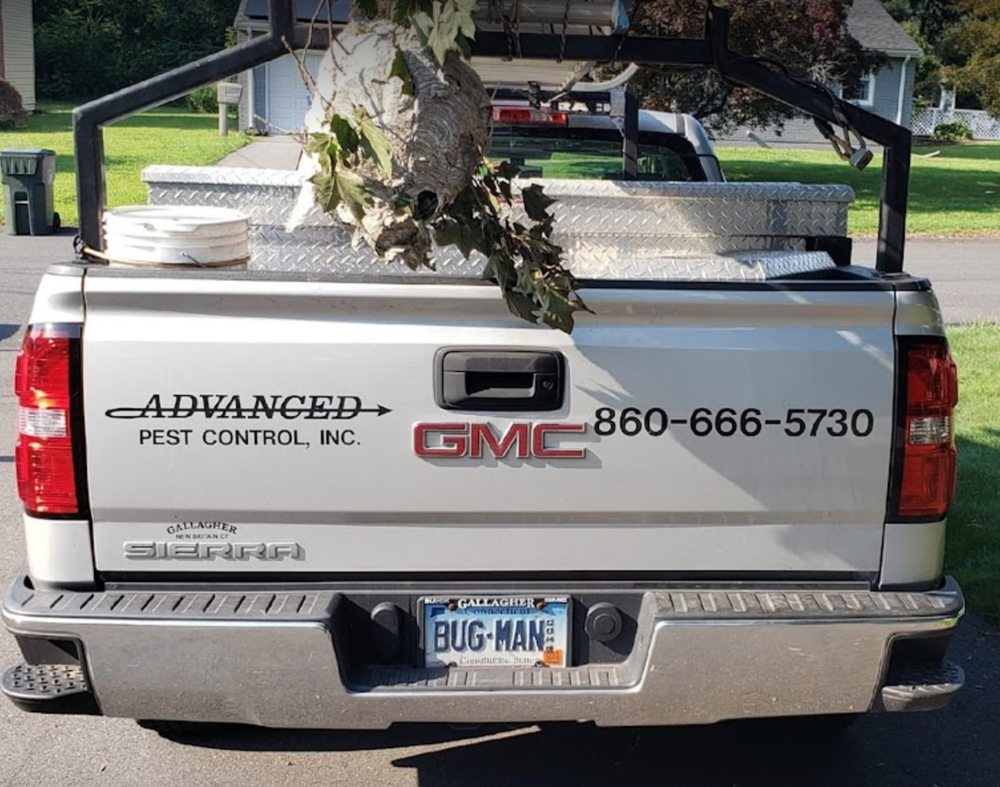 ADVANCED PEST CONTROL - Updated October 2025 - 570 Nott St ...