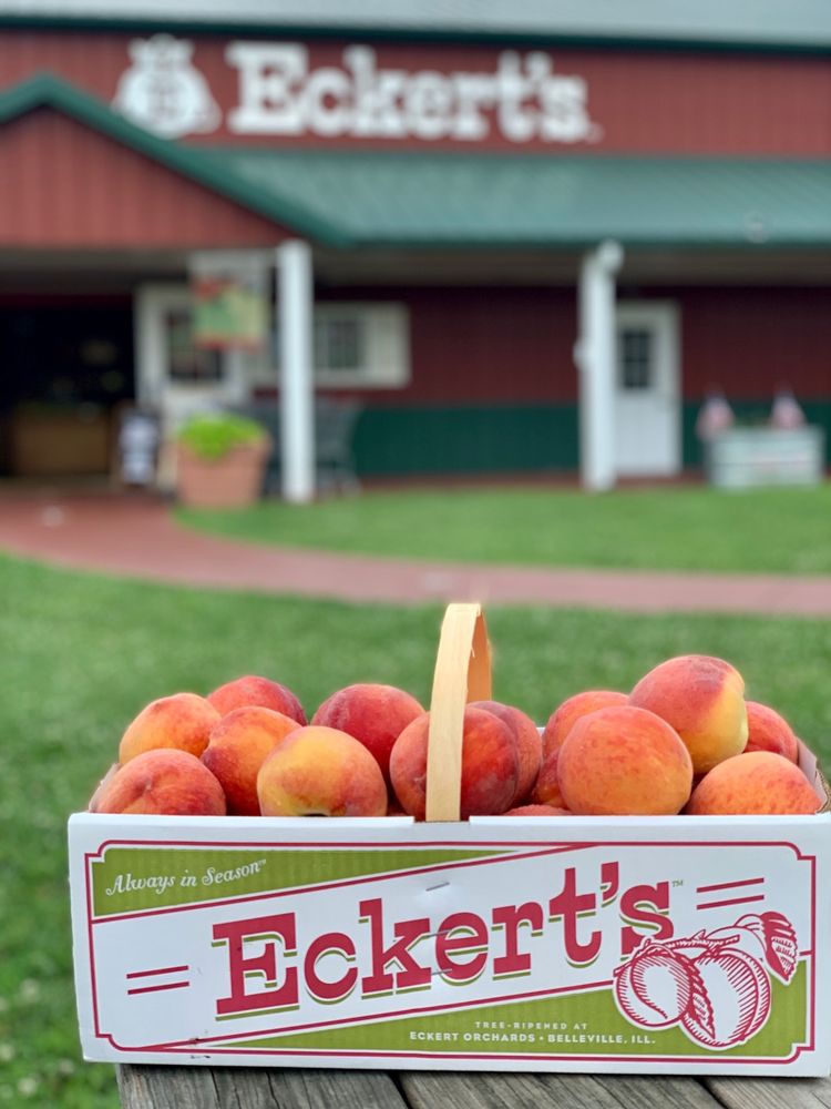 ECKERT’S ORCHARD - Updated July 2024 - 124 Photos & 52 Reviews - 1396 ...