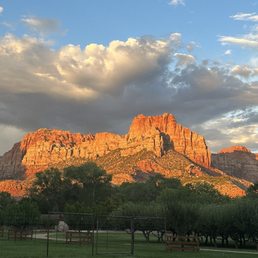 WILD THYME CAFE - Updated May 2025 - 111 Photos & 115 Reviews - 2501 ...