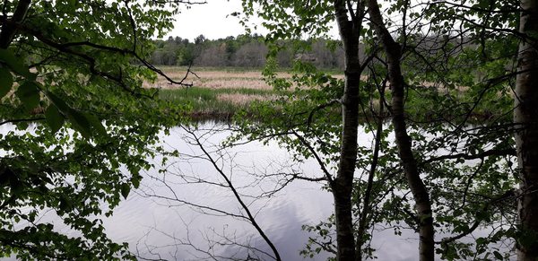 Bark River, MI Map & Directions - MapQuest