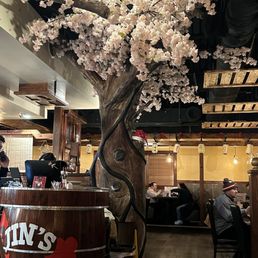 JIN’S SUSHI SEAFOOD & BAR - Updated August 2025 - 386 Photos & 251 ...