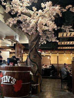 JIN’S SUSHI SEAFOOD & BAR - Updated December 2025 - 401 Photos & 256 ...