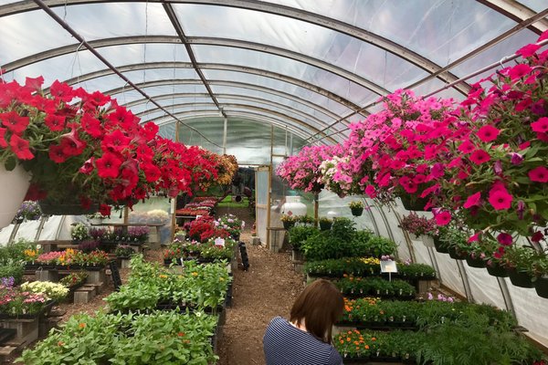 KLEIN’S FARM & GARDEN MARKET - Updated October 2025 - 23 Reviews ...