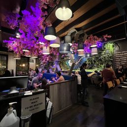 LAZY FISH - Updated January 2026 - 499 Photos & 525 Reviews - 10 E ...