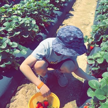 ATKINSON FARM - Updated December 2025 - 167 Photos & 74 Reviews - 3217 ...