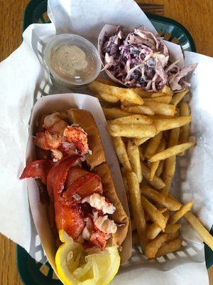 THE MAINE LOBSTER LADY - 209 Caterpillar Hill Rd, Sedgwick, ME - Yelp