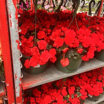 PAT’S FARMS GARDEN CENTER - Updated January 2026 - 71 Photos - 1126 ...