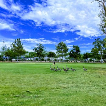 TOKA STICKS GOLF COURSE - Updated January 2026 - 29 Photos & 44 Reviews ...