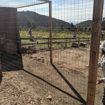 RILEY’S APPLE FARM - Updated September 2025 - 312 Photos & 194 Reviews ...