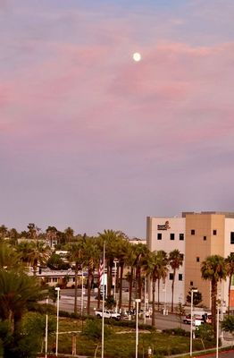 MEMORIALCARE LONG BEACH MEDICAL CENTER - Updated January 2025 - 218 ...