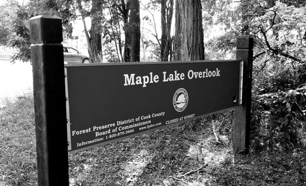 MAPLE LAKE - Updated August 2024 - 46 Photos - 9500 Willows Spring Rd ...