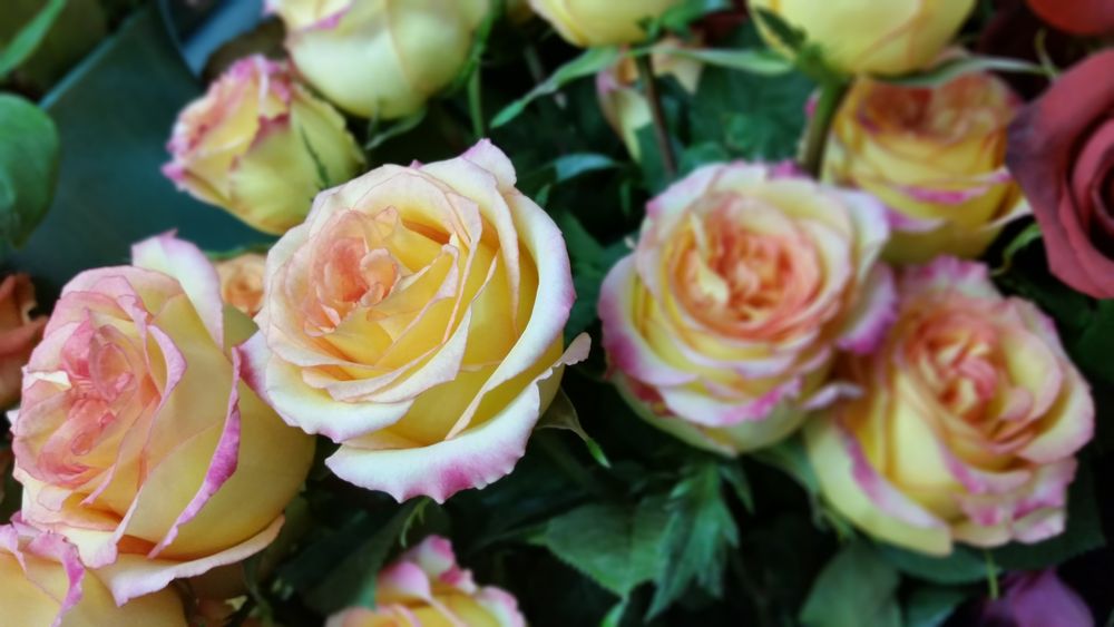 GREENPOINT FLORAL - Updated December 2025 - 60 Photos & 26 Reviews ...