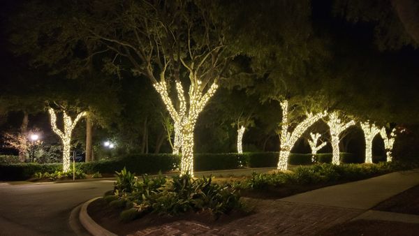 DANIEL ISLAND CLUB - Updated December 2025 - 30 Photos & 10 Reviews ...