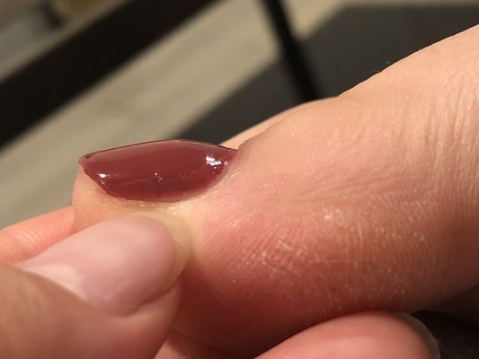 WE NAILS - Updated July 2024 - 858 Photos & 435 Reviews - 8654 Lindley ...