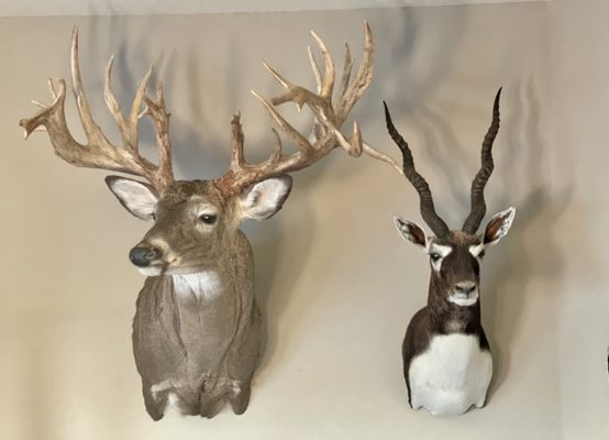 G2 RANCH - 3516 Fm 1582, Pearsall, Texas - Wildlife Hunting Ranges ...