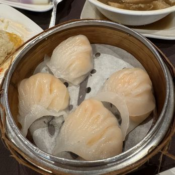 DIM SUM PALACE - Updated November 2024 - 601 Photos & 138 Reviews - 27 ...