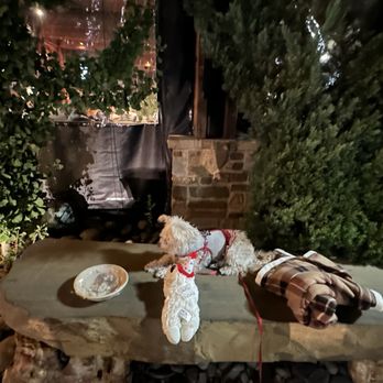 LAZY DOG RESTAURANT & BAR - Updated January 2025 - 5991 Photos & 3655 ...