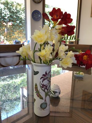 MASJID AL-TAQWA - TEMP. CLOSED - Updated December 2025 - 2183 Lake Ave ...