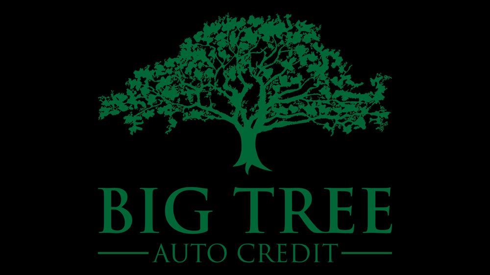 BIG TREE AUTO CREDIT - Updated December 2025 - 2685 NW 10th St, Ocala ...