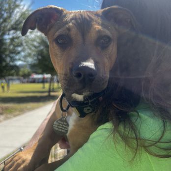 MERCY FULL PROJECT - Updated December 2025 - 31 Photos & 27 Reviews ...