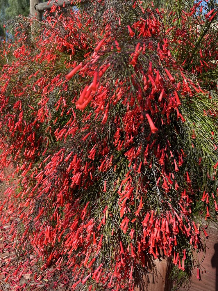 LINDO LAKE COUNTY PARK - Updated October 2025 - 283 Photos & 45 Reviews ...