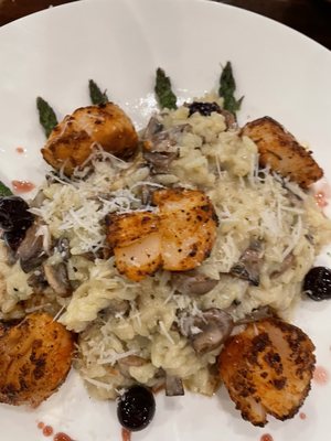 MANGIA BISTRO - 31 Photos & 30 Reviews - 508 14th St, Plano, Texas ...