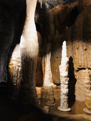 MUSEUM OF NATURAL HISTORY AND SCIENCE - 83 Photos & 23 Reviews - 1301 ...
