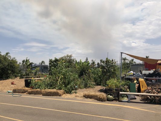 ALICE BIRNEY ELEMENTARY SCHOOL - Updated December 2025 - 26 Photos ...