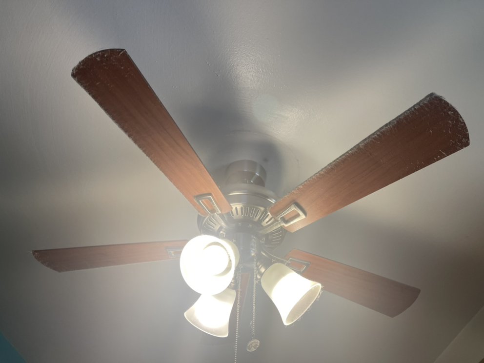 STEPHANIE CLEANING SERVICE - Pittsburgh, Pennsylvania - Home Cleaning ...