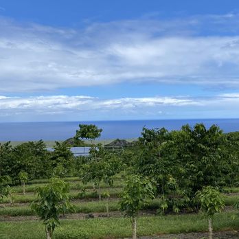 BAY VIEW FARM - Updated May 2025 - 85 Photos & 33 Reviews - 83-5249 ...